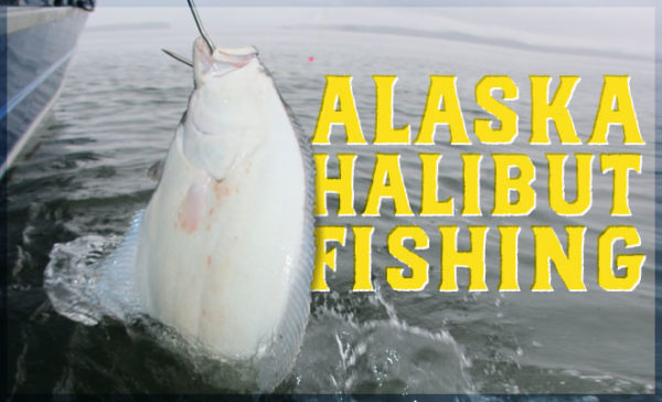 Alaska Halibut Fishing in Yakutat - The Yakutat Lodge