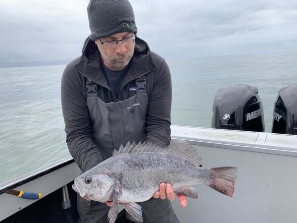 Alaska Rockfish - The Yakutat Lodge
